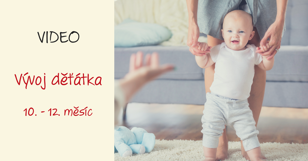 Vývoj dítěte v 10. - 12. měsíci: stoj a první krůčky [video] - Klub maminek